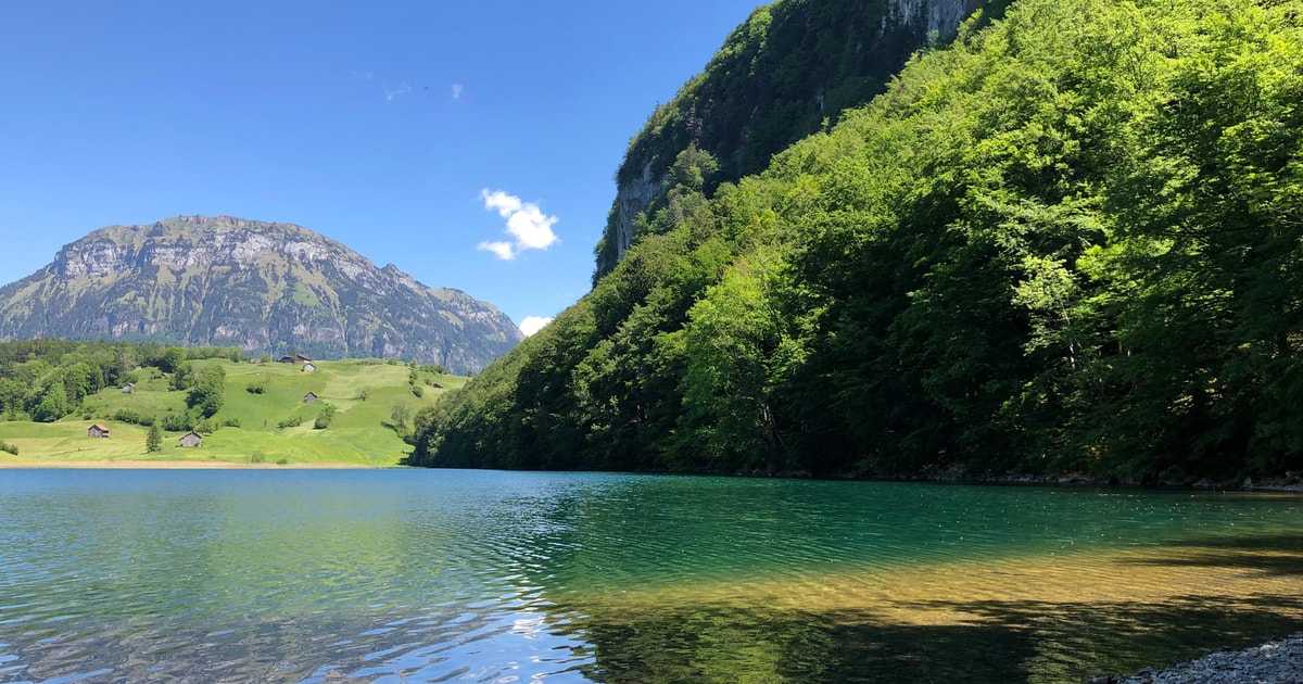 Lo más destacado de Suiza: tour guiado por Zúrich, Lucerna y Basilea ...