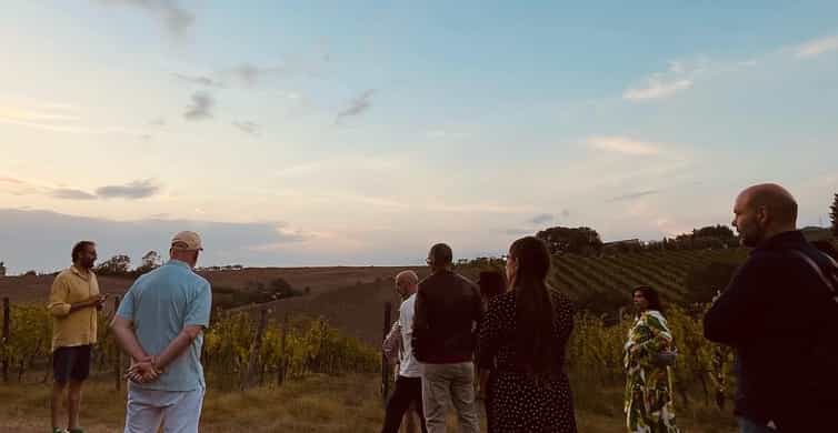 TOSCANA -Guided Tour, Wine Tasting, and Local/Syrian Bites | GetYourGuide