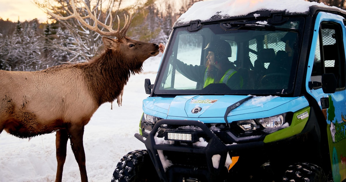 Montebello, QC: Omega Park Guided Animal Feeding in All-Terrain Vehicle ...