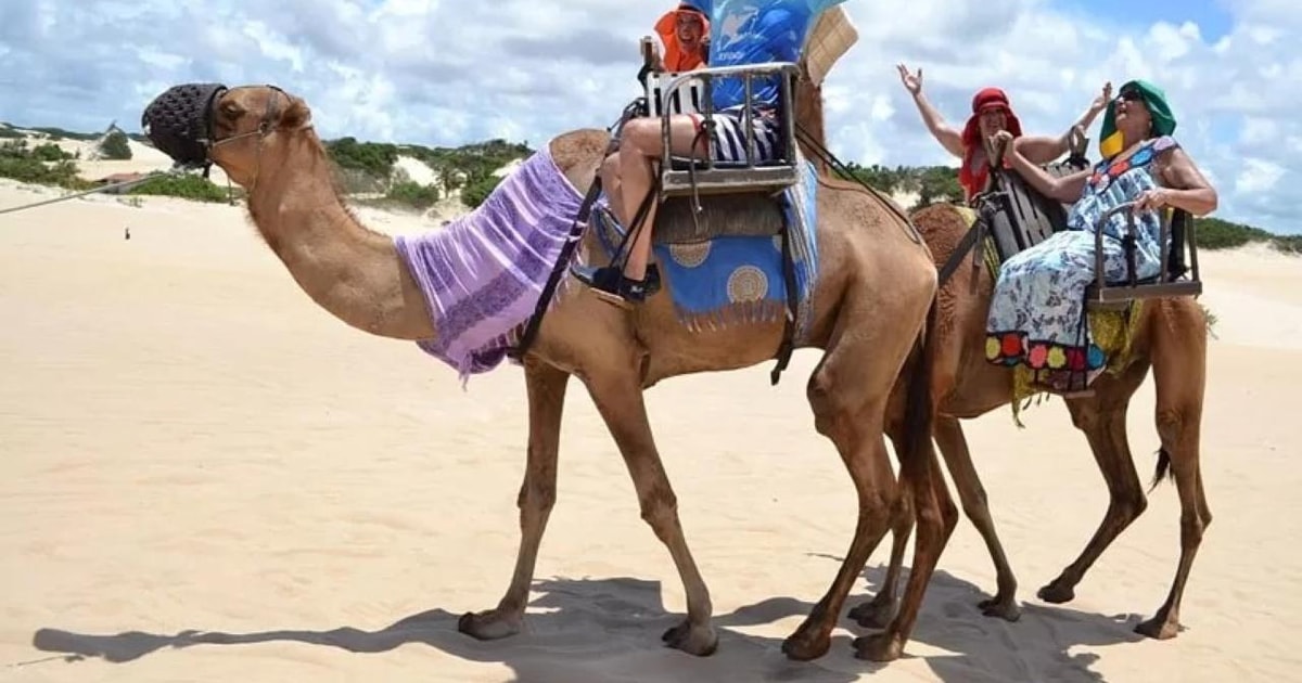 Ica: Camel ride + Swimming pool | GetYourGuide