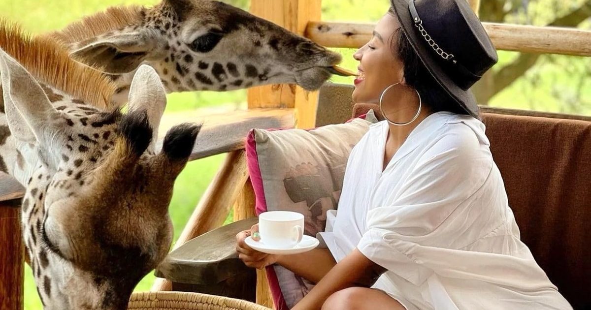 Chemka Hotsprings en Serval Wildlife Privé Dagtocht | GetYourGuide