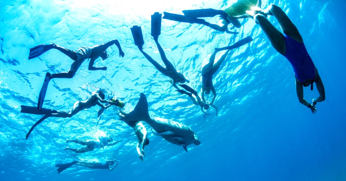 Marsa Alam: Esnórquel con tortugas marinas Marsa Mubarak | GetYourGuide