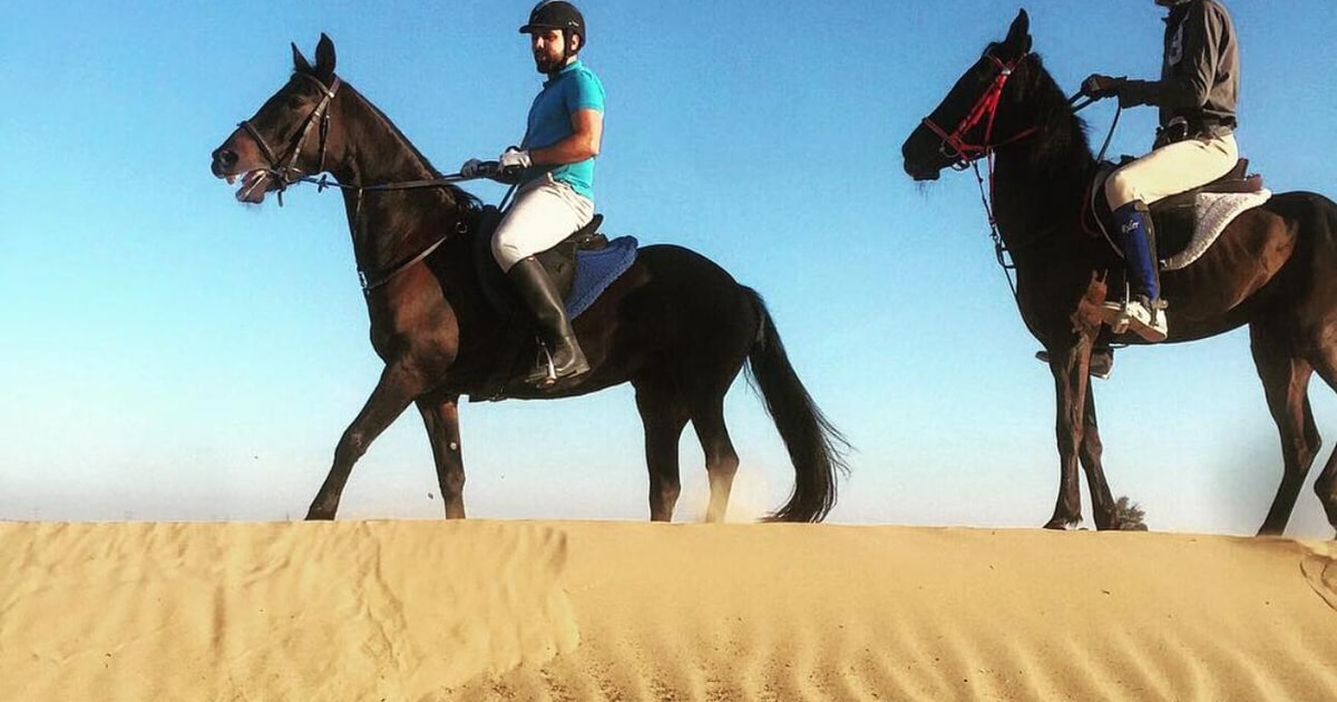 Doha : Arabian Horse Ride Experience With Pickup & Drop Off | GetYourGuide