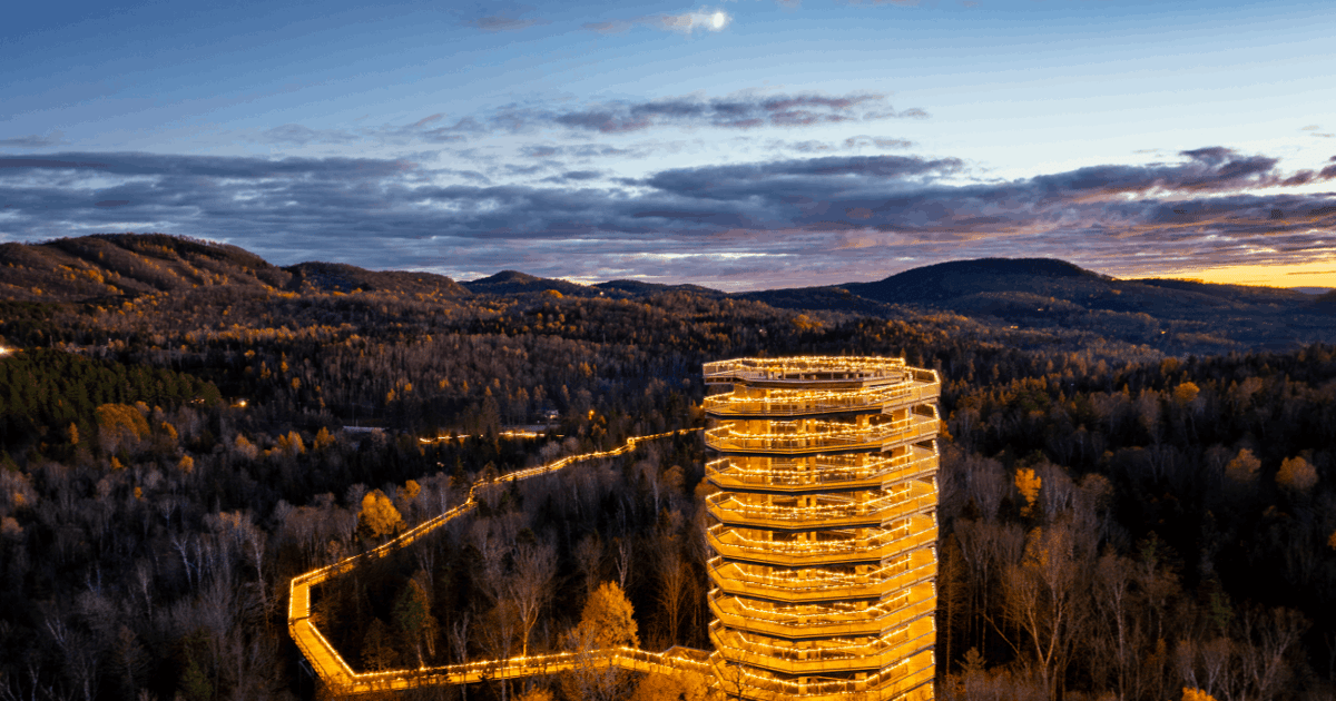 Sentier des cimes Laurentides: Treetop Observatory & Walk | GetYourGuide