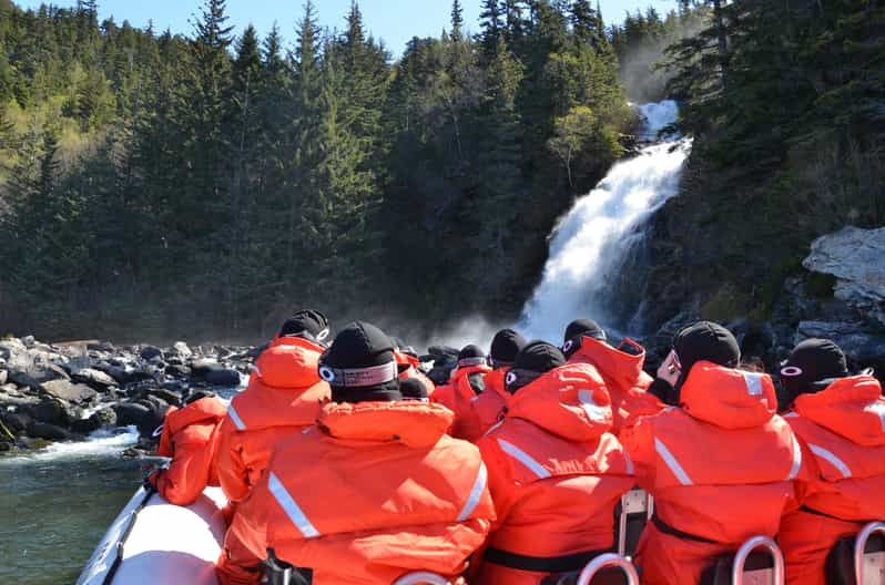 Skagway: Ocean Raft Adventure Along Scenic Coastline | GetYourGuide