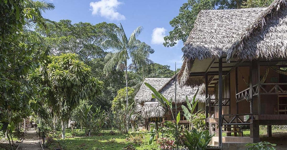 COLLPAS TAMBOPATA INN EXPEDICIÓN 4D/3N | GetYourGuide