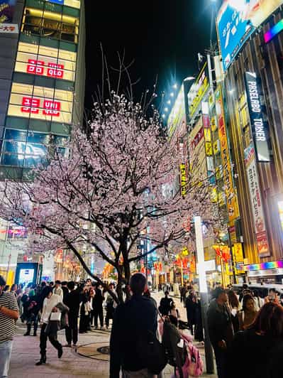 Shinjuku Kabukicho and Golden Gai Walk & Eat Tour | GetYourGuide