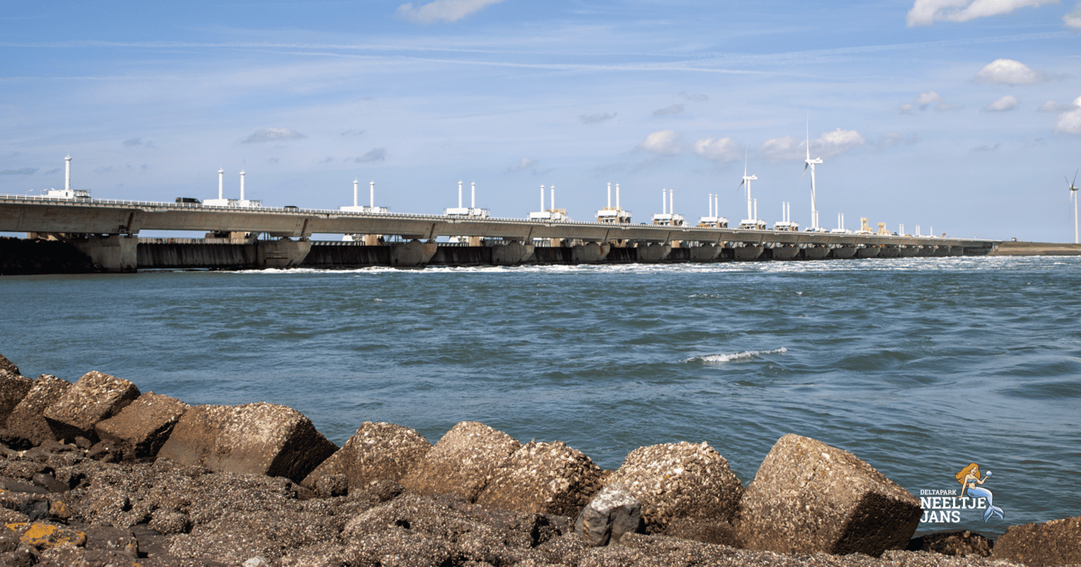 Vrouwenpolder: Delta Park Neeltje Jans Entry Ticket | GetYourGuide