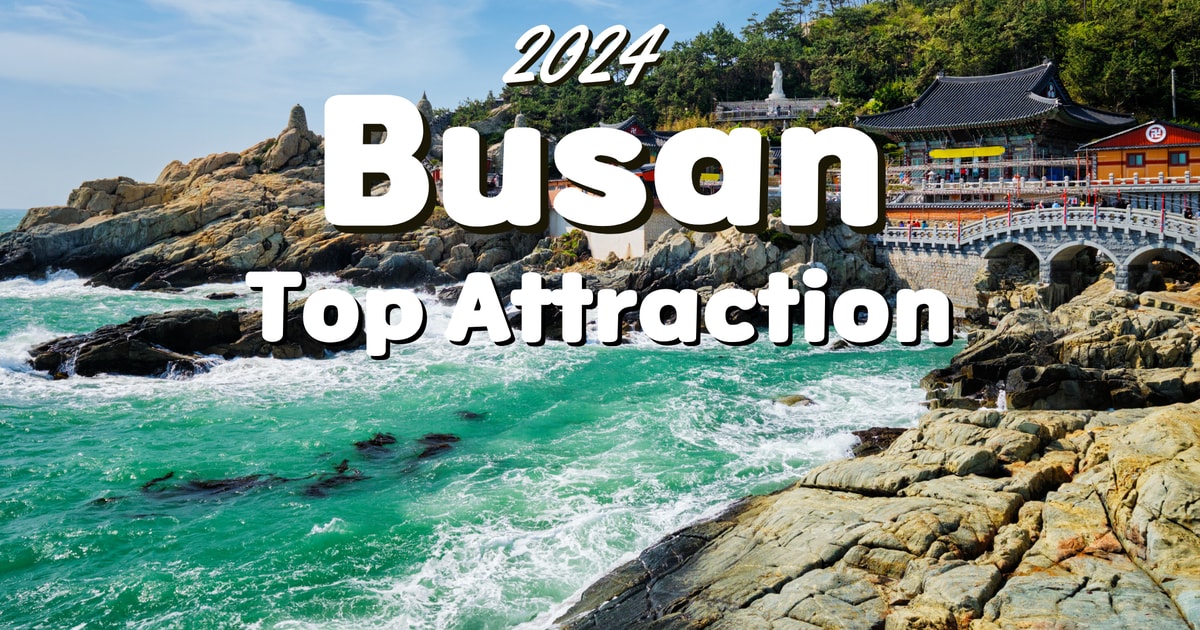 Busan City: Top-Attraktionen Eintägige geführte Tour | GetYourGuide