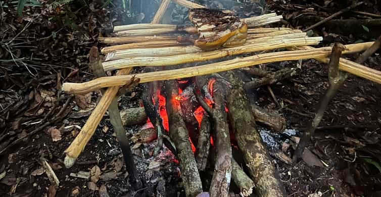 Amazon Jungle Camping Tour- 4 Great days at the Juma reserve | GetYourGuide