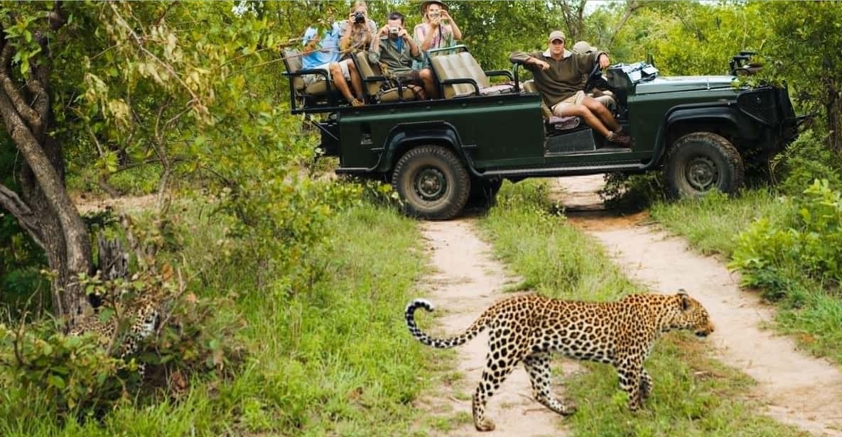 Parque Nacional Kruger - Excursión de 4 días desde Johannesburgo ...