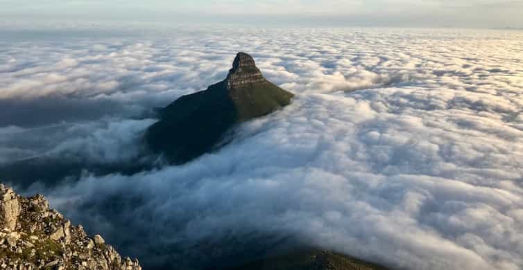 Climb Table Mountain the REAL Way! India Venster Hike! | GetYourGuide