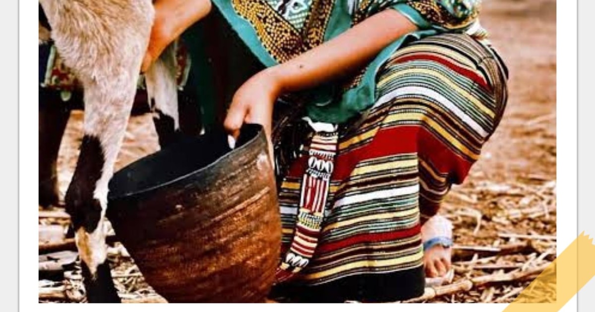 From Addis Ababa: Afar Village & Tigray Churches 5-Day Tour | GetYourGuide