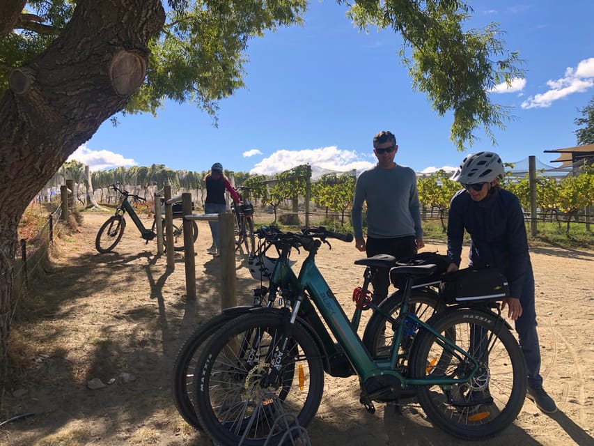 ebike tour lake Hawea river track to Wanaka | GetYourGuide