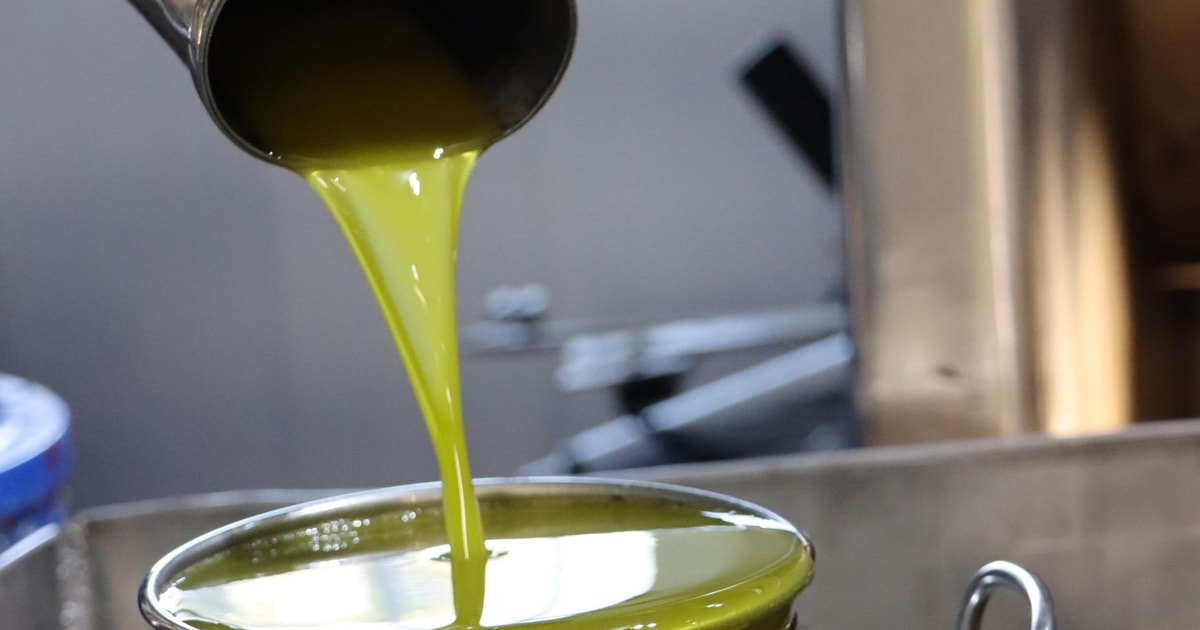 Cyprus :Olive oil Tasting & Olive mill | GetYourGuide