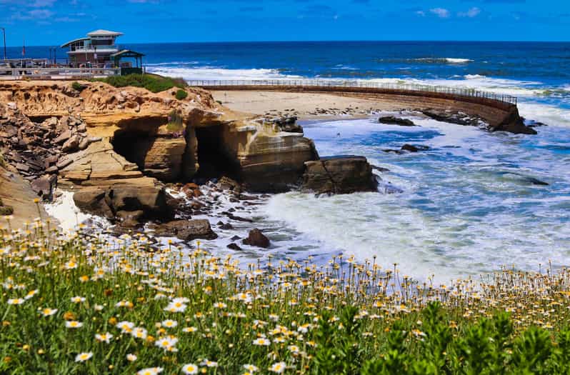A Seaside Stroll: La Jolla's Hidden Treasures Walking Tour | GetYourGuide