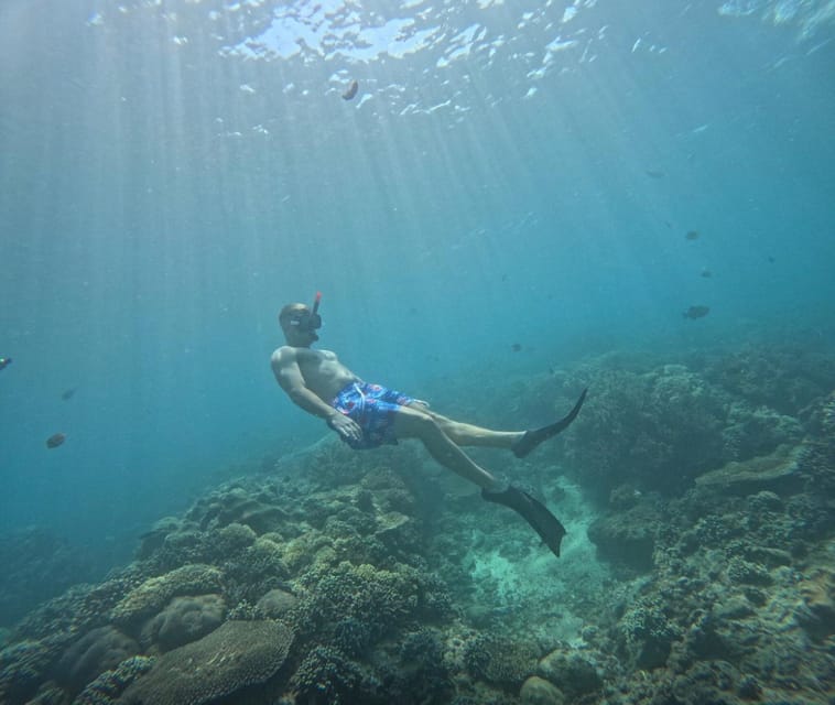 Bali Blue Lagoon Snorkeling Tour | GetYourGuide
