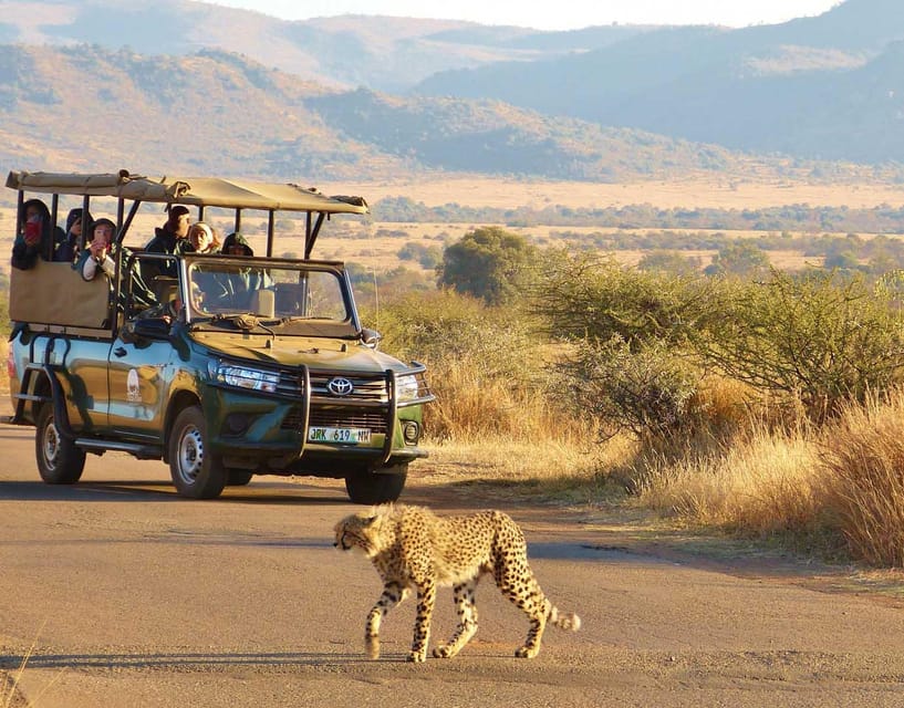 3-Hour Private Game Drive in Pilanesberg National Park | GetYourGuide
