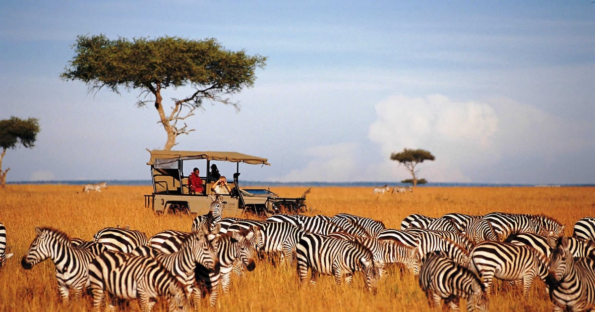 7-Day Kenya Classic Safari | GetYourGuide