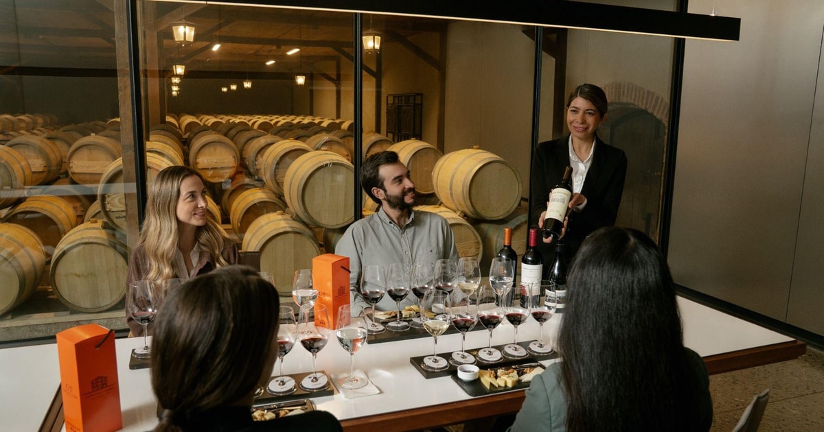 Santiago: Premium Cellar Collection Sensory Experience Tour | GetYourGuide