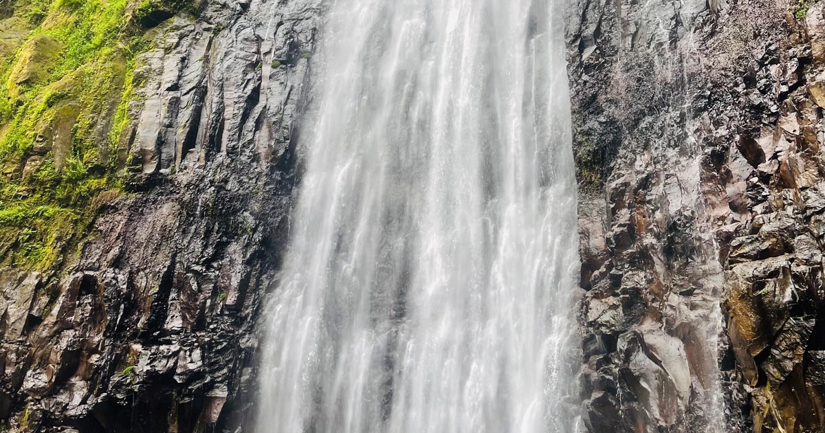 Moshi/Arusha: cascadas de Materuni, tour del café y almuerzo | GetYourGuide