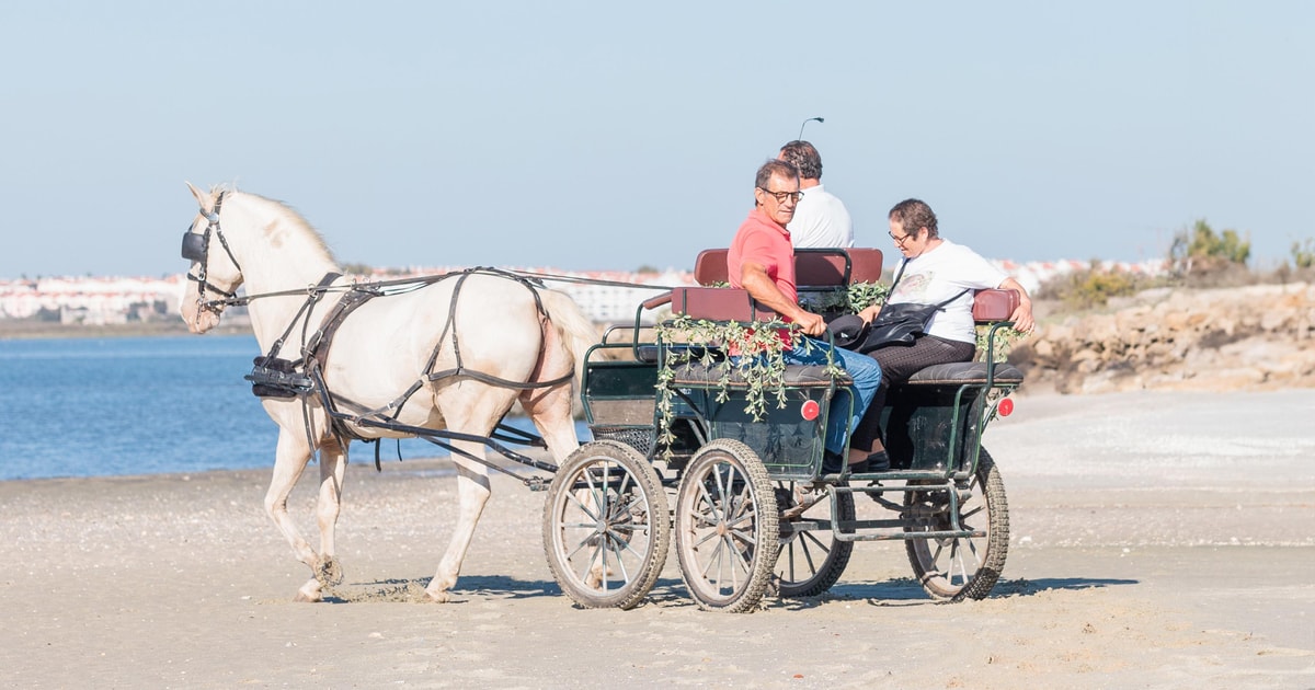 Passeio de charrete na praia (Praia do Rosário) | GetYourGuide