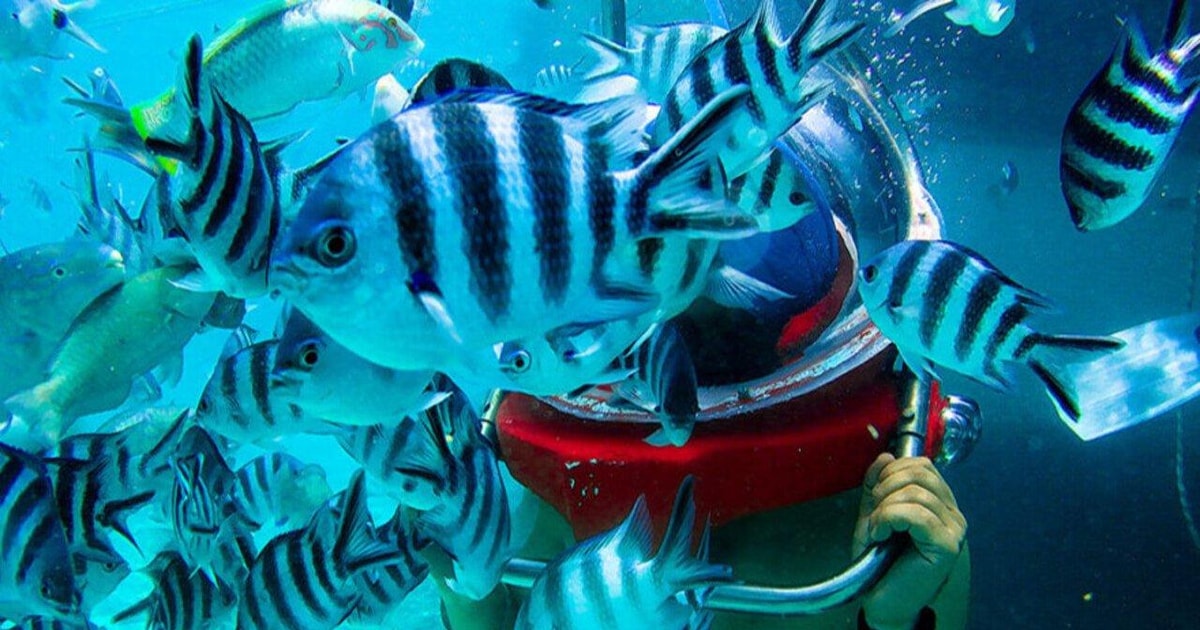 Walking under the sea in Mauritius with transfer | GetYourGuide