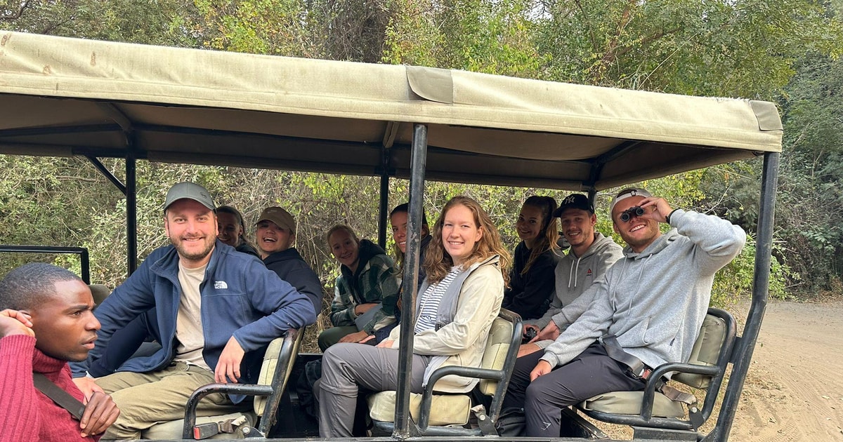 Safari Game Drive | GetYourGuide