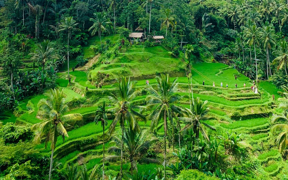 Ubud: Waterfalls, Water Temple & Rice Terraces Private Tour | GetYourGuide
