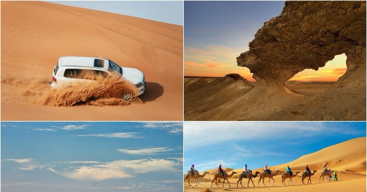 Doha: Private Combo Desert Safari And West Coast of Qatar | GetYourGuide