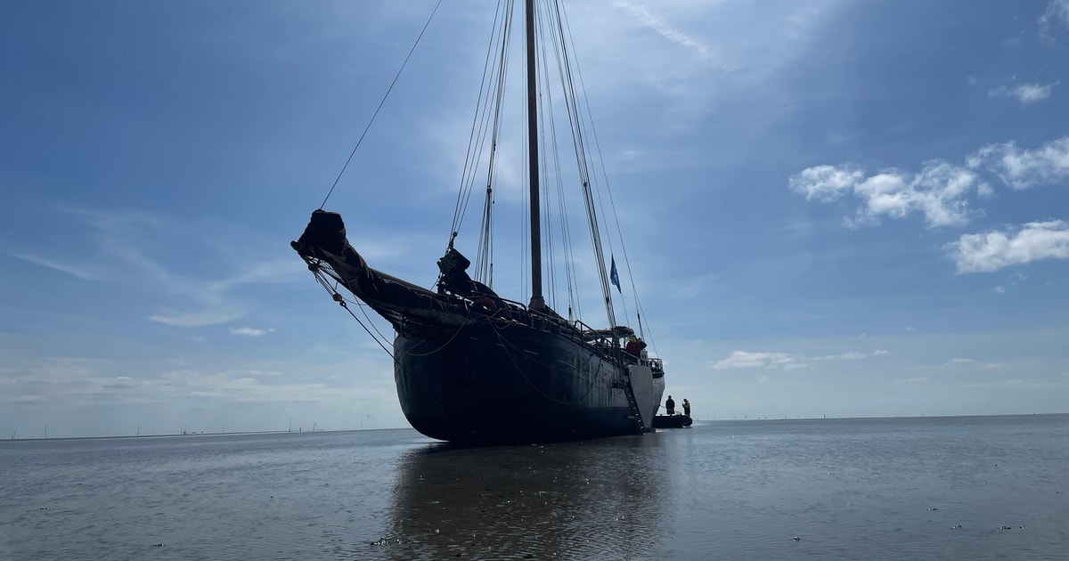 Sailing Tour Waddensea - Healthy Tides | GetYourGuide