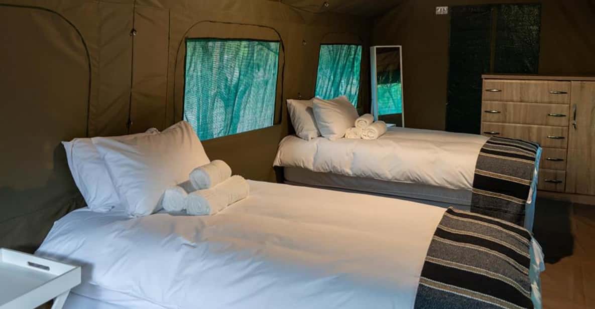 4 Day Kruger Glamping Budget Adventure | GetYourGuide