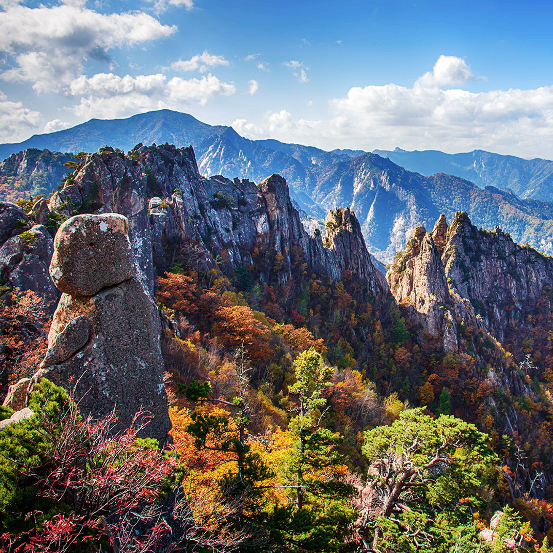 From Seoul: Seoraksan National Park and Nami Island Day Trip | GetYourGuide