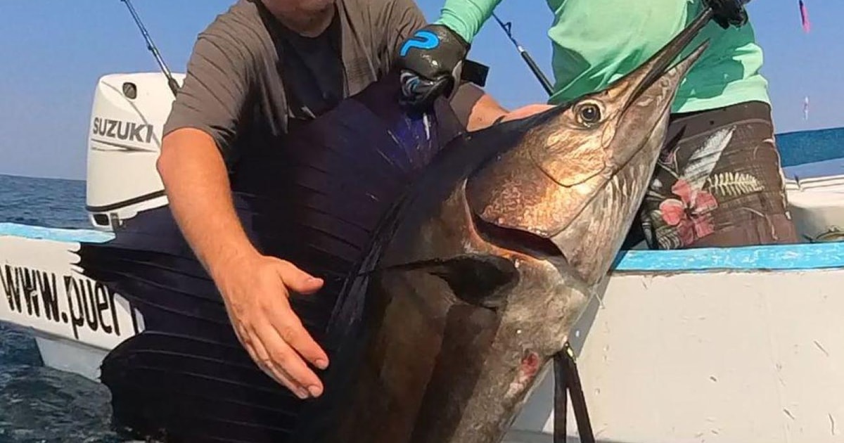 Los Cabos: Fishing and Eating Experience | GetYourGuide