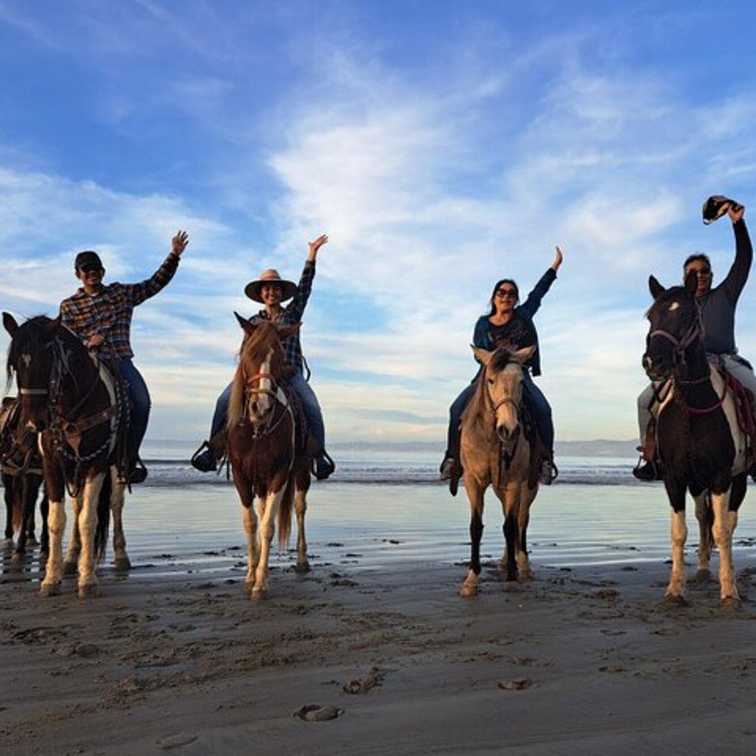 Ensenada: Beach and Desert Horseback Riding Adventure | GetYourGuide