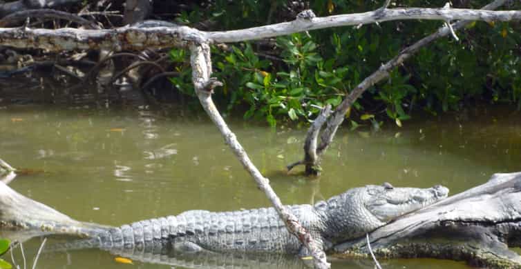 From Cancun: Kantemó Snake Cavern Adventure | GetYourGuide