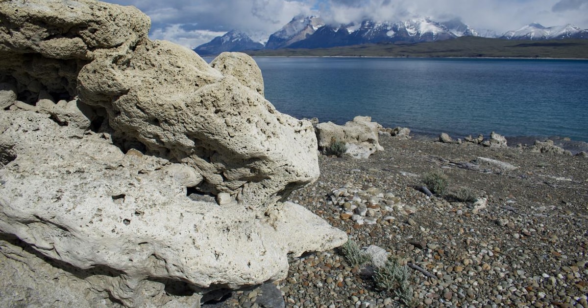 Från Puerto Natales: Vandringstur i Torres del Paine med lunch ...