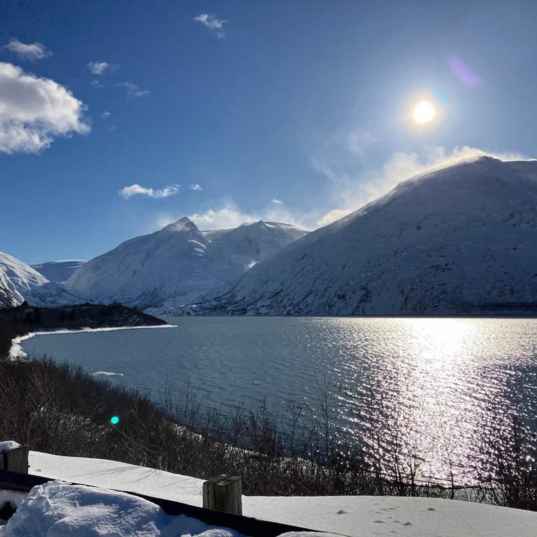 From Anchorage: Alaska Wildlife Center & Turnagain Arm Tour | GetYourGuide