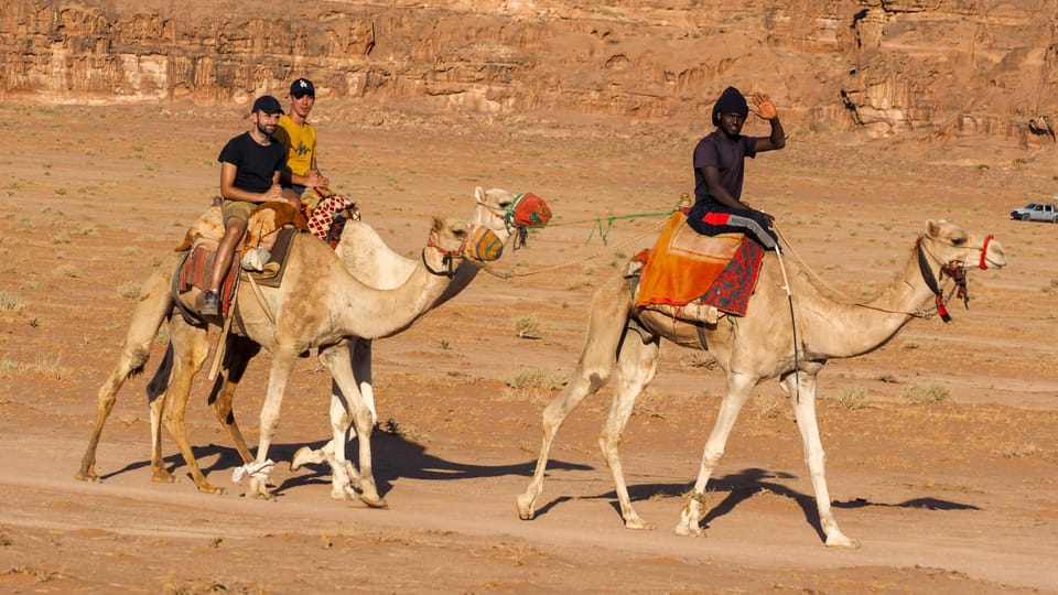 WadiRum Highlight - Camel tour 8 hours until sunset | GetYourGuide