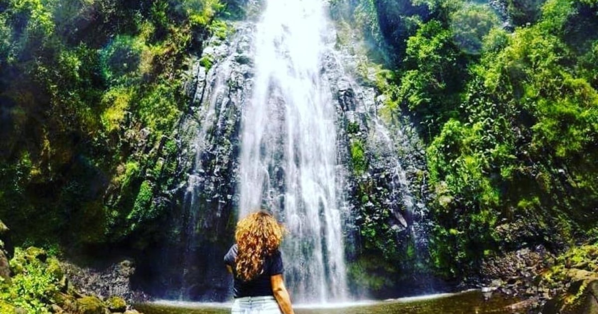 Materuni Waterfalls, Coffee, and Chemka Hotsprings Tour | GetYourGuide