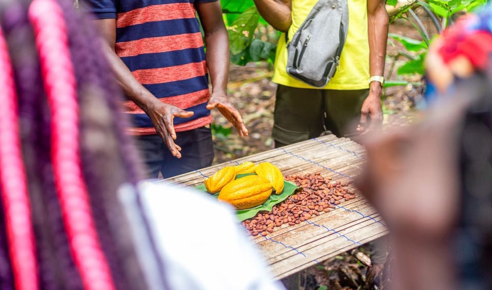 Cocoa Tour | GetYourGuide