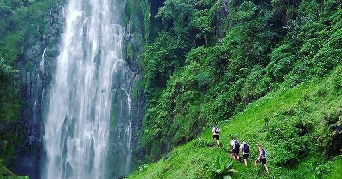 Materuni waterfalls Day Trip | GetYourGuide