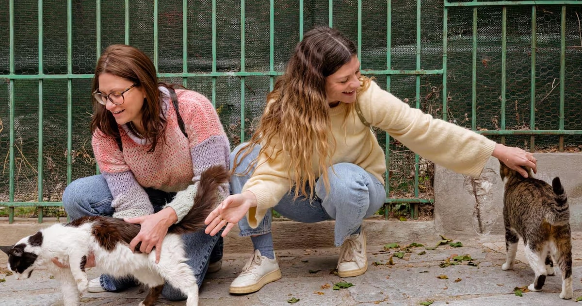 Cats of Athens - Walking Tour | GetYourGuide