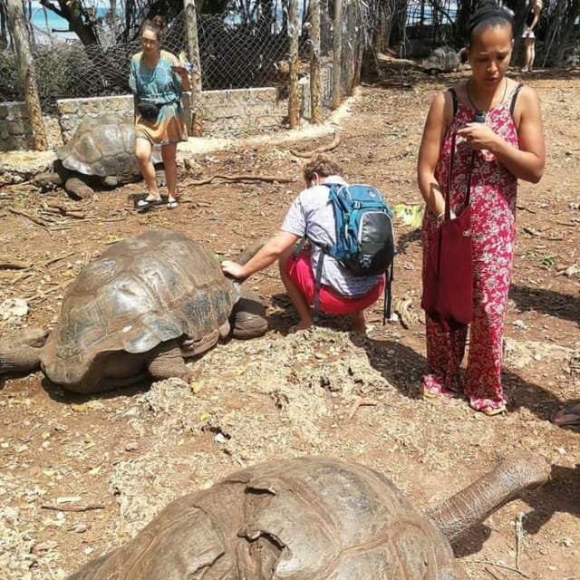 Zanzibar: Prison Island Tour | GetYourGuide