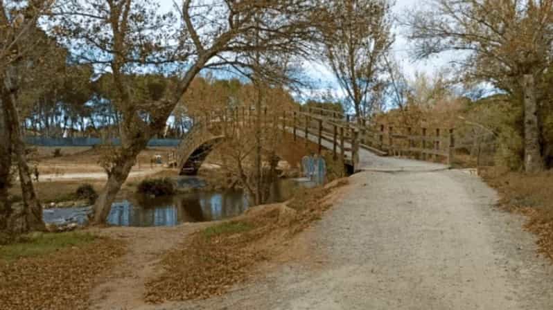 The BEST Turia River Sightseeing 2024 - FREE Cancellation | GetYourGuide