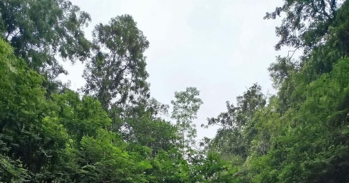 Bali: Highlight Full day waterfall Tour in middle of Bali | GetYourGuide