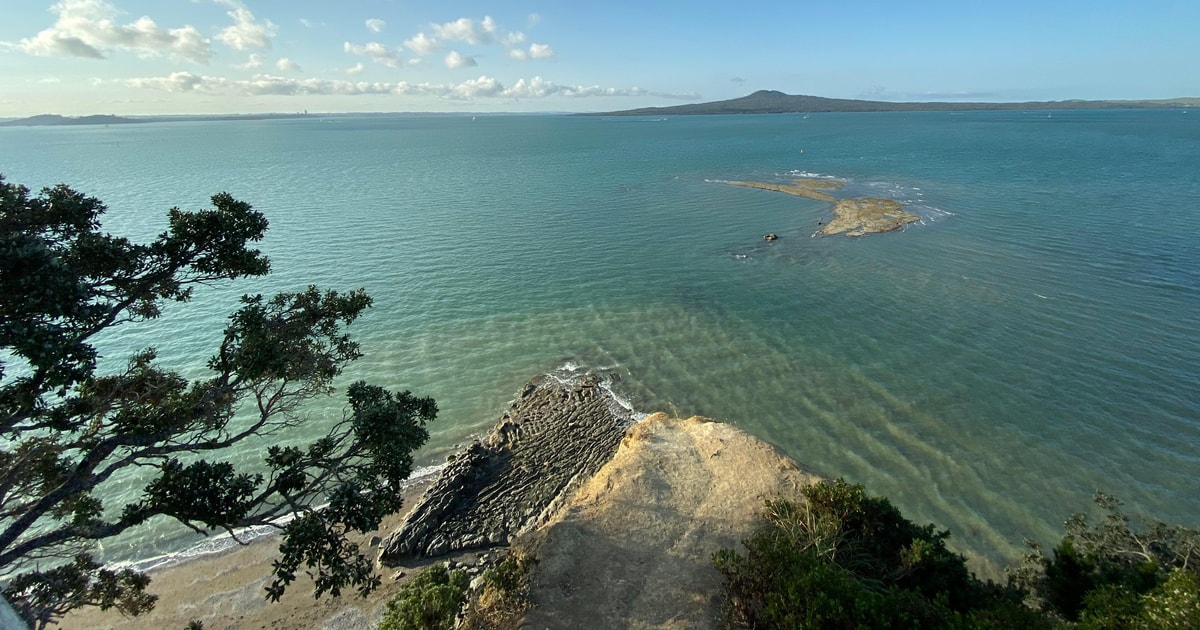 Auckland: City Tour with Wine Tasting and Black Sand Beach | GetYourGuide