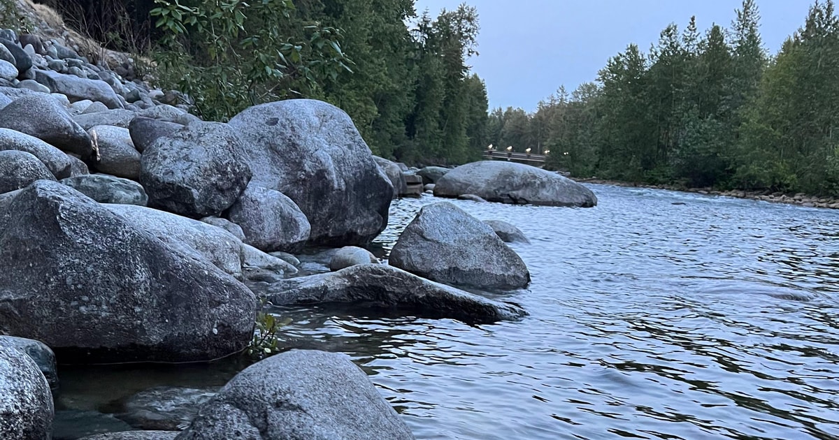West Vancouver EUC & E-scooters loop tour | GetYourGuide