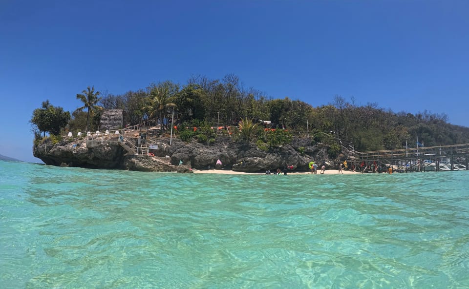 Cebu Swim with whaleshark & Sumilon Island | GetYourGuide