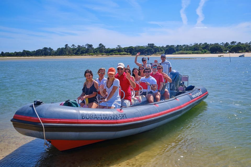 Setúbal: Dolphin-Watching Boat Tour | GetYourGuide